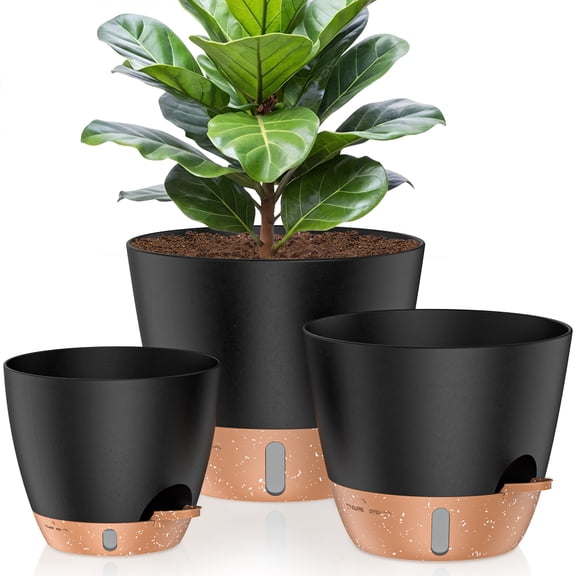 Shop Eight Inch Pots for Patio Garden