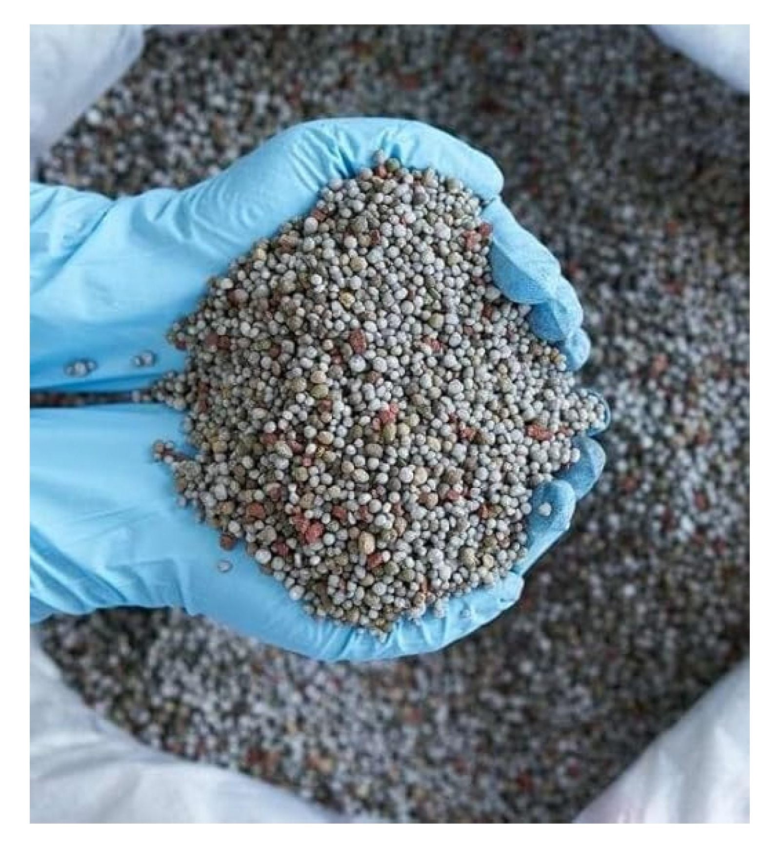 12-12-12 Fertilizer - 10 lb Bag | Balanced Plant Food for Growth | All ...