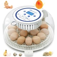 Ovation 28 Advance automatic egg incubator with humidity display ...
