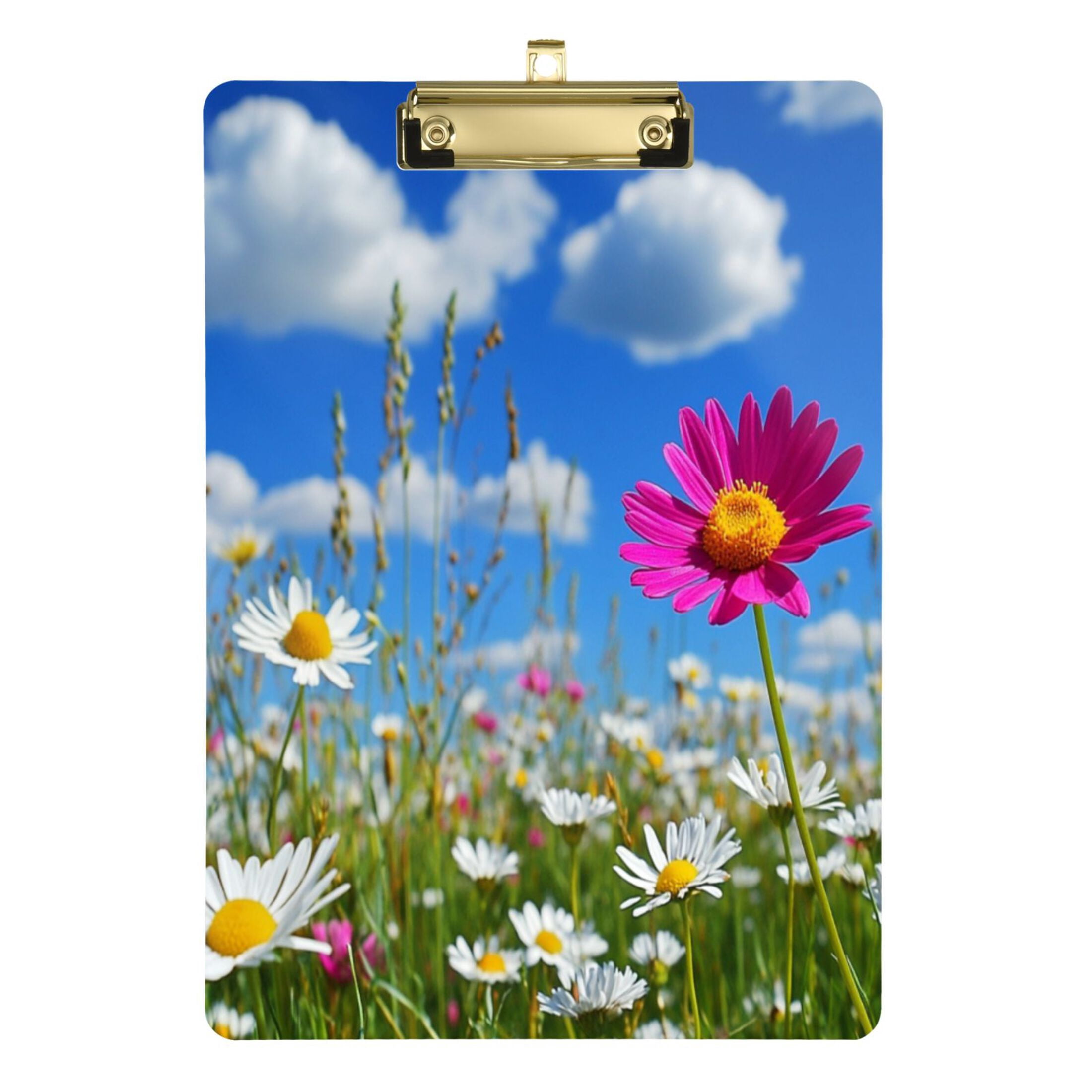 12.5" x 9" Acrylic Clipboard with Gold Metal Clip Office and Classroom ...