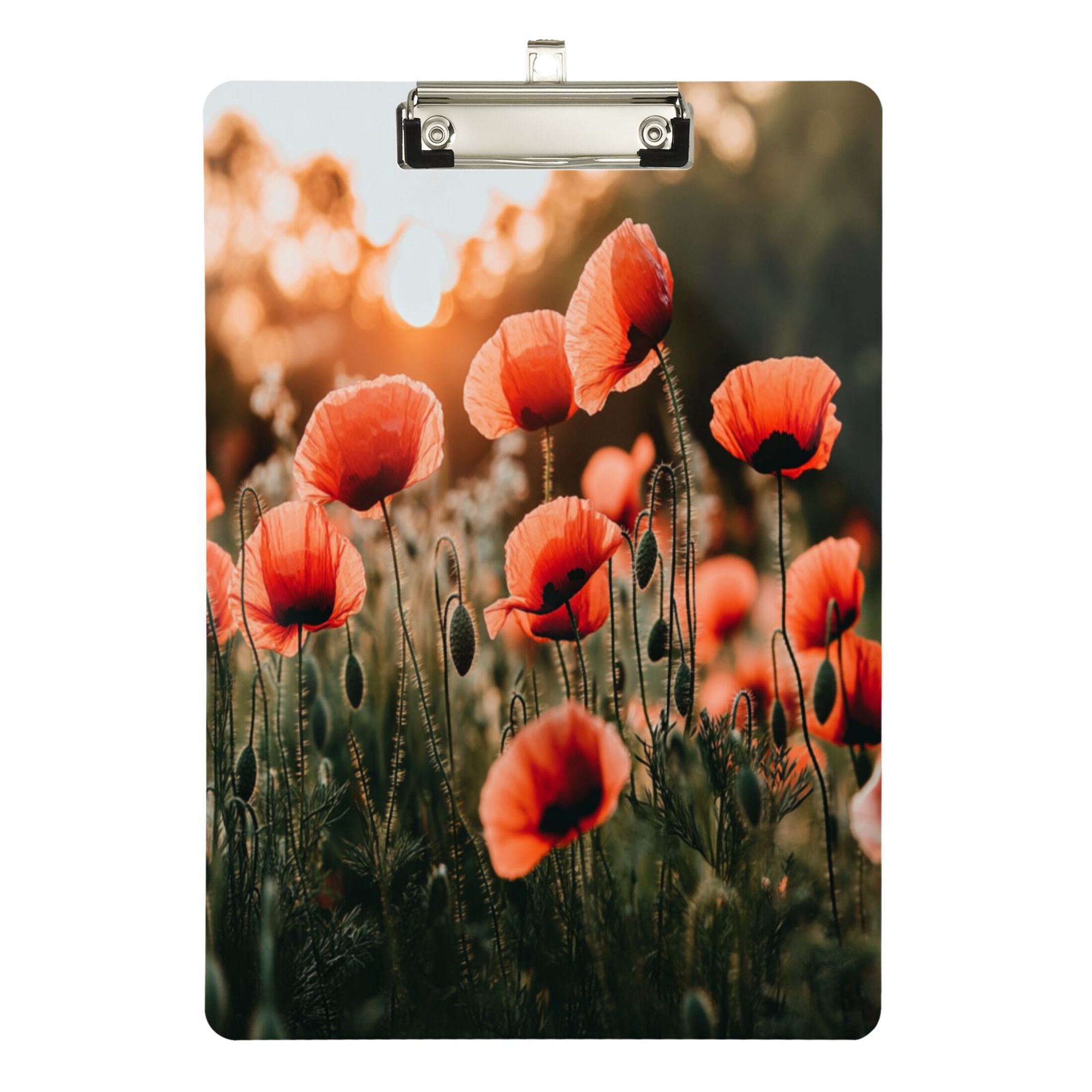 12.5" x 9" Acrylic Clipboard with Silver Metal Clip Office and ...