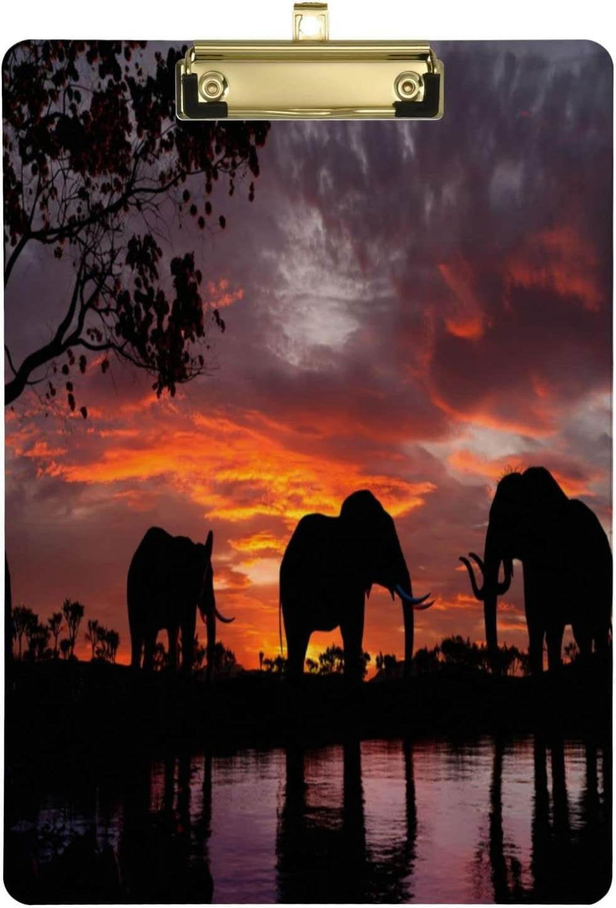 12.5"x9" Elephants Clipboards, Standard A4 Letter Size Nursing ...