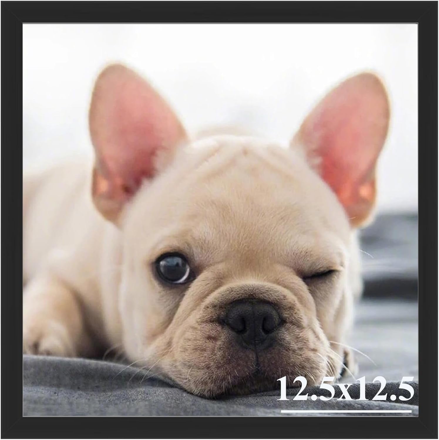 12.5x12.5 Picture Frames, Simply Designed Photo Frame, Certificate ...