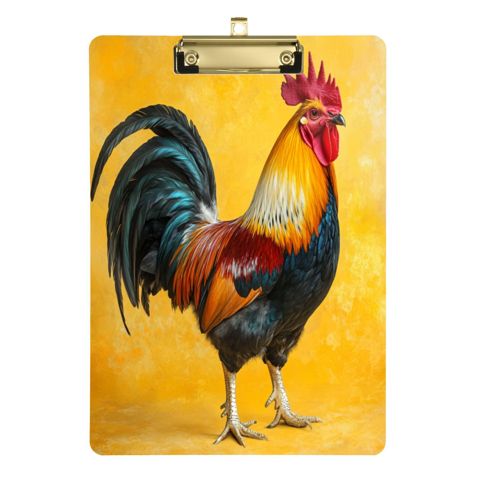 12.5x9 Inch Acrylic Clipboard with Metal Clip – Single-Sided Print ...