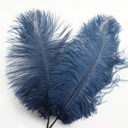 dark blue feathers