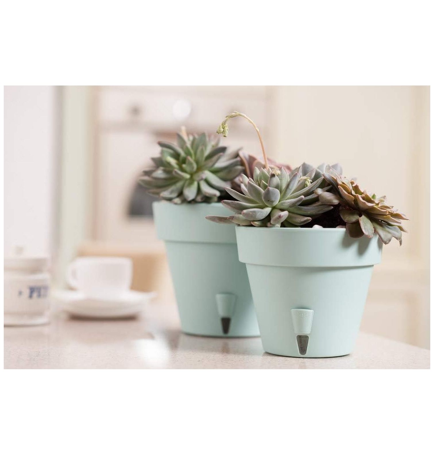 12.8 Inch Latina Self Watering Planters (Set of 3) in Cream - Flower ...