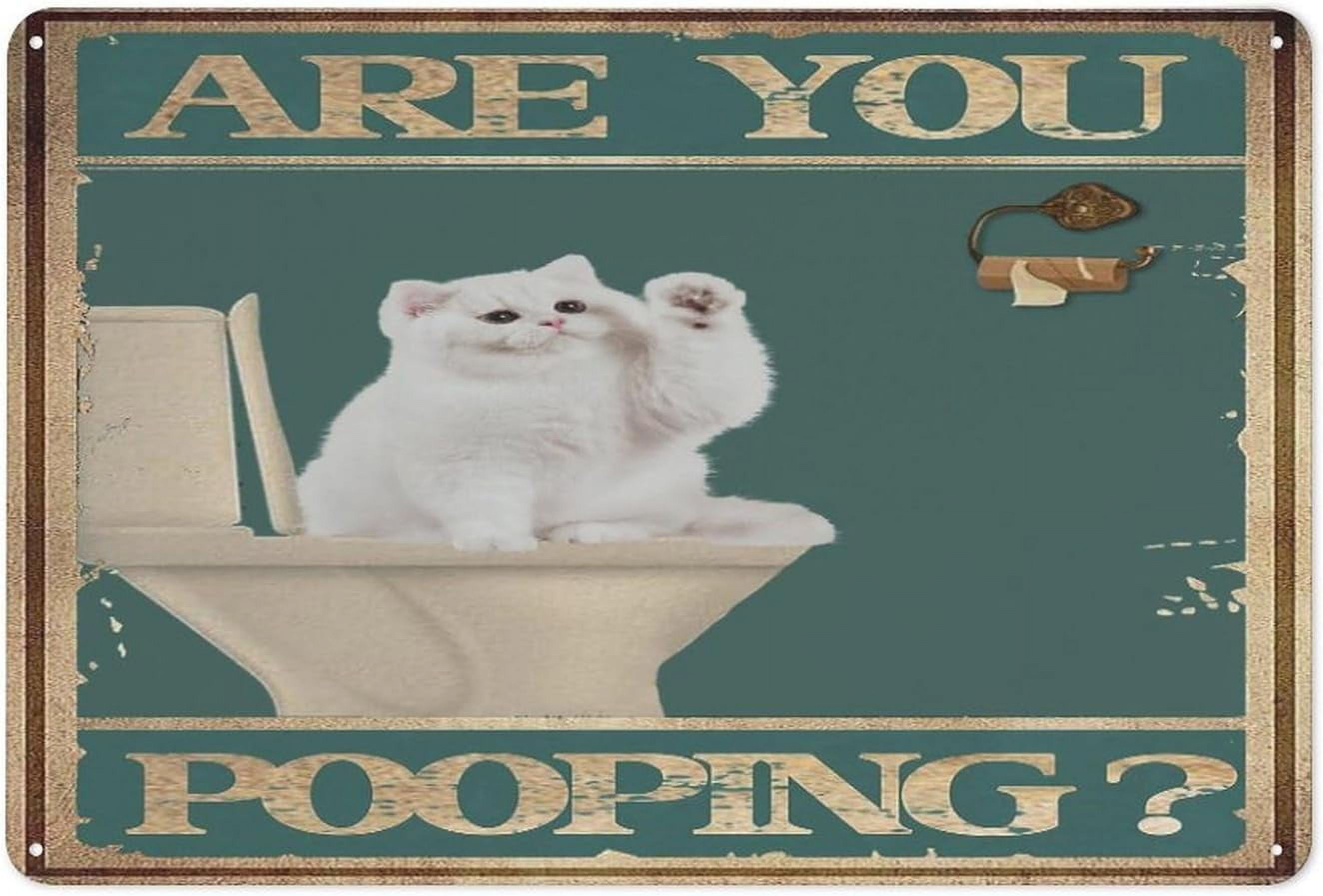 12×8 inch Are You Pooping Vintage Metal Wall Art Posters Wall Decor ...