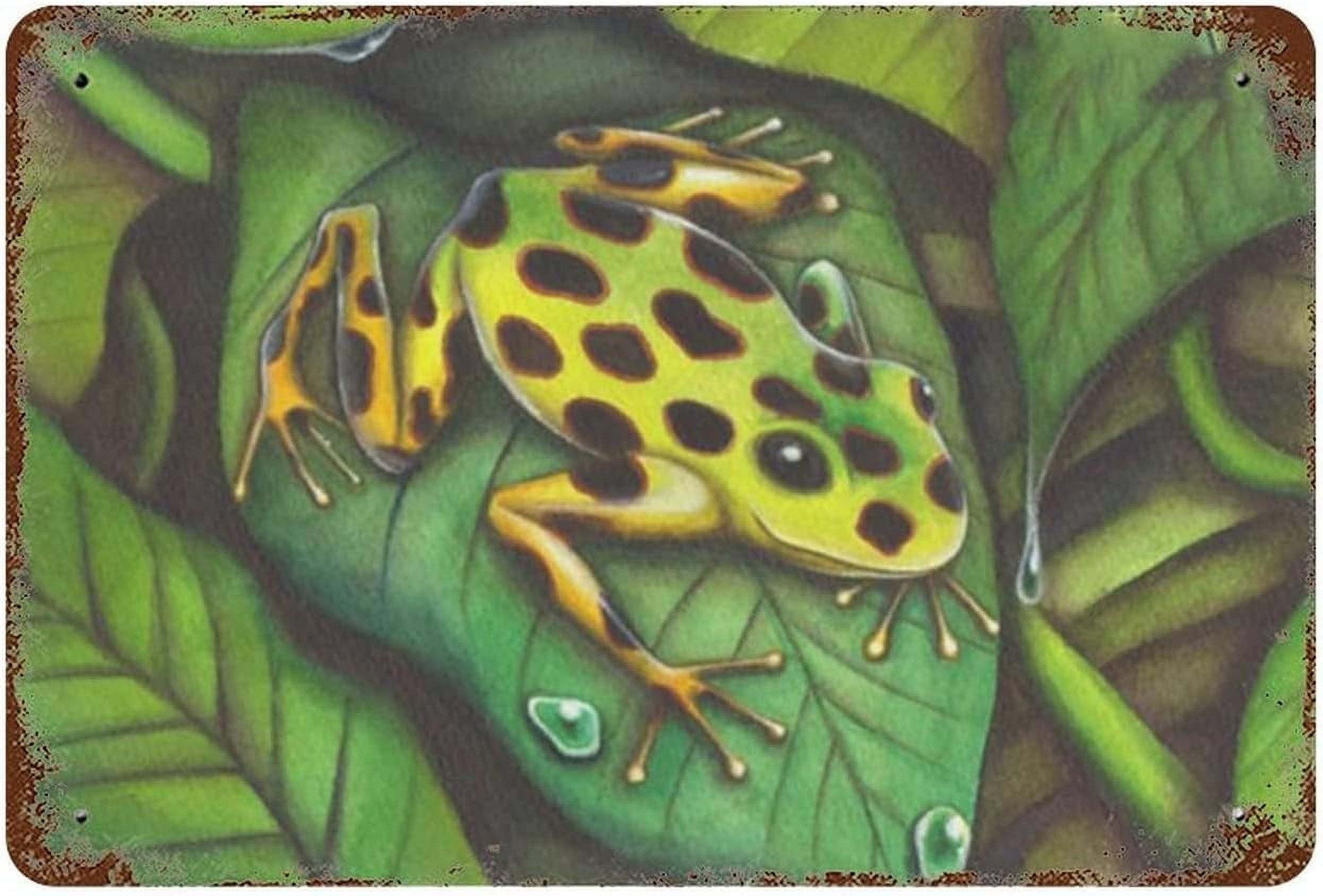 12×8 inch FROGS DOOR MAT Personalized Rules Wall Art Metal Tin Sign ...