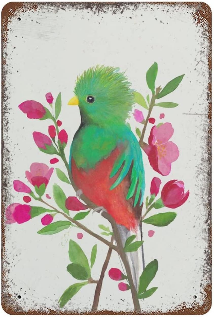 12×8 inch Green Bird Print Watercolour Hummingbird Art Print ...