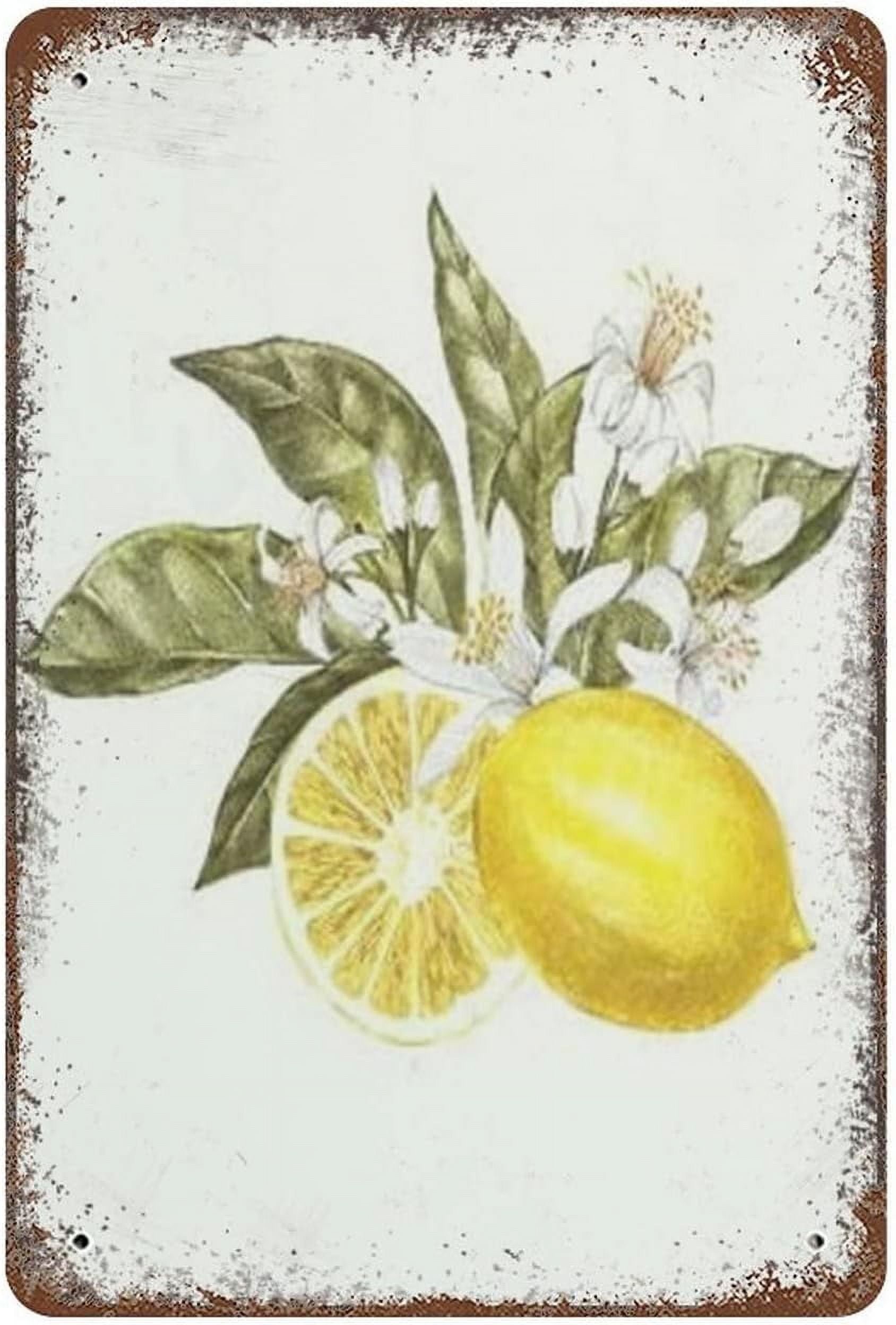 12×8 inch Green leaf Sour Yellow lemon New Vintage Retro Metal Tin Sign ...