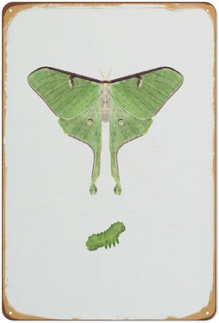 12×8 inch Lunar Moth Metal Sign,Moth Illustration,Insect Sign,Wildlife ...