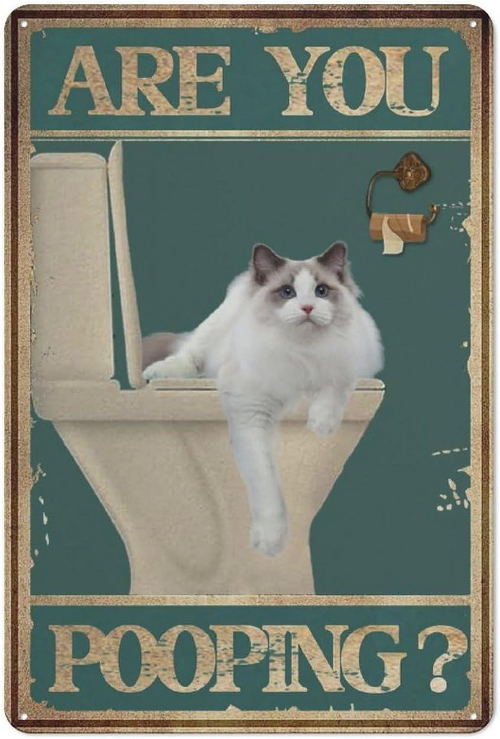 12×8 inch Metal Sign Cat Are You Pooping Sign Vintage Funny Sign Retro ...