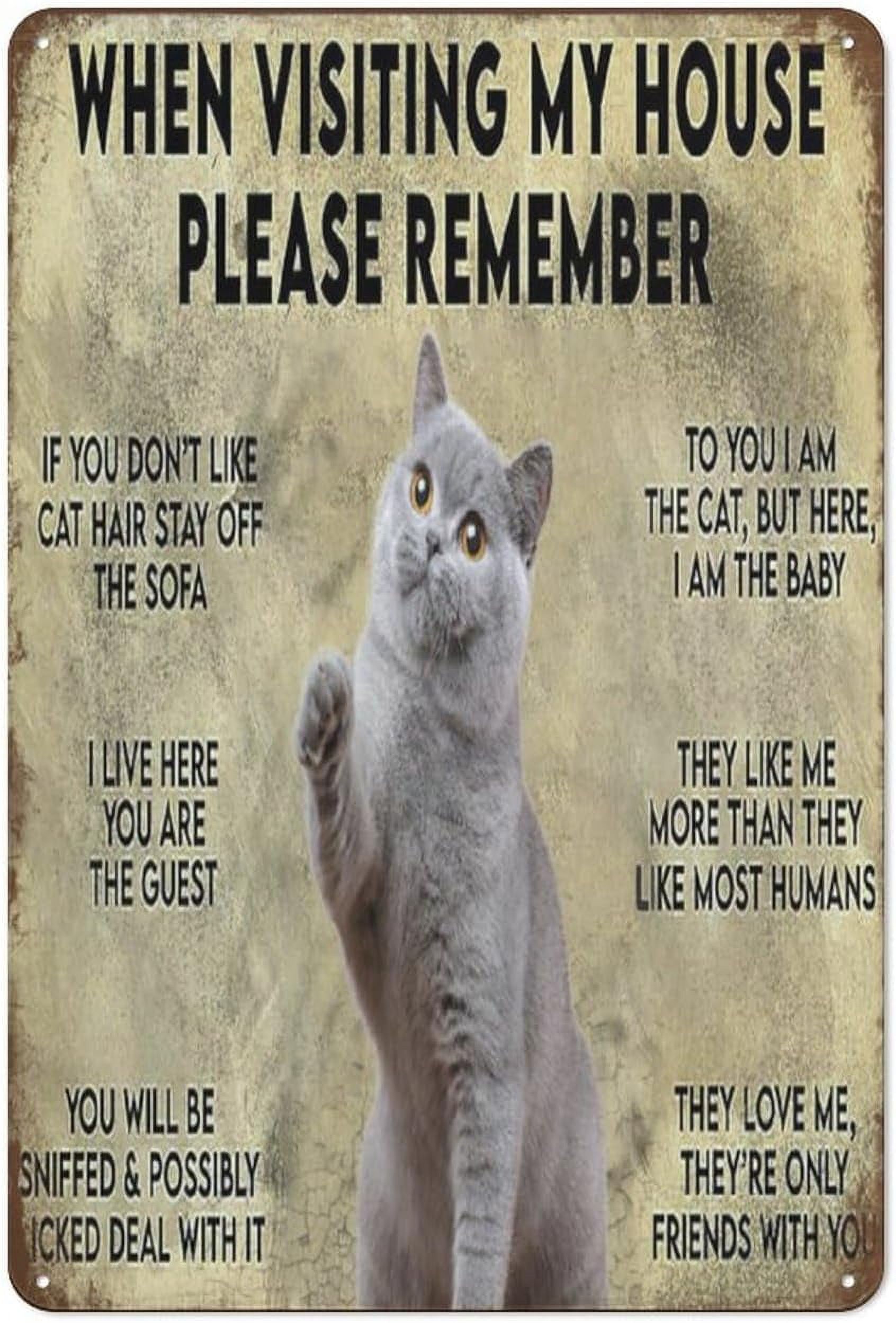 12×8 inch Retro Cat Lovers Signs Wall Decor Rustic When Visiting My ...