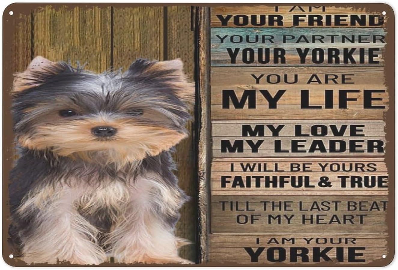 12×8 inch Tin Sign Yorkshire Terrier I Am Your Friend Your Partner You ...