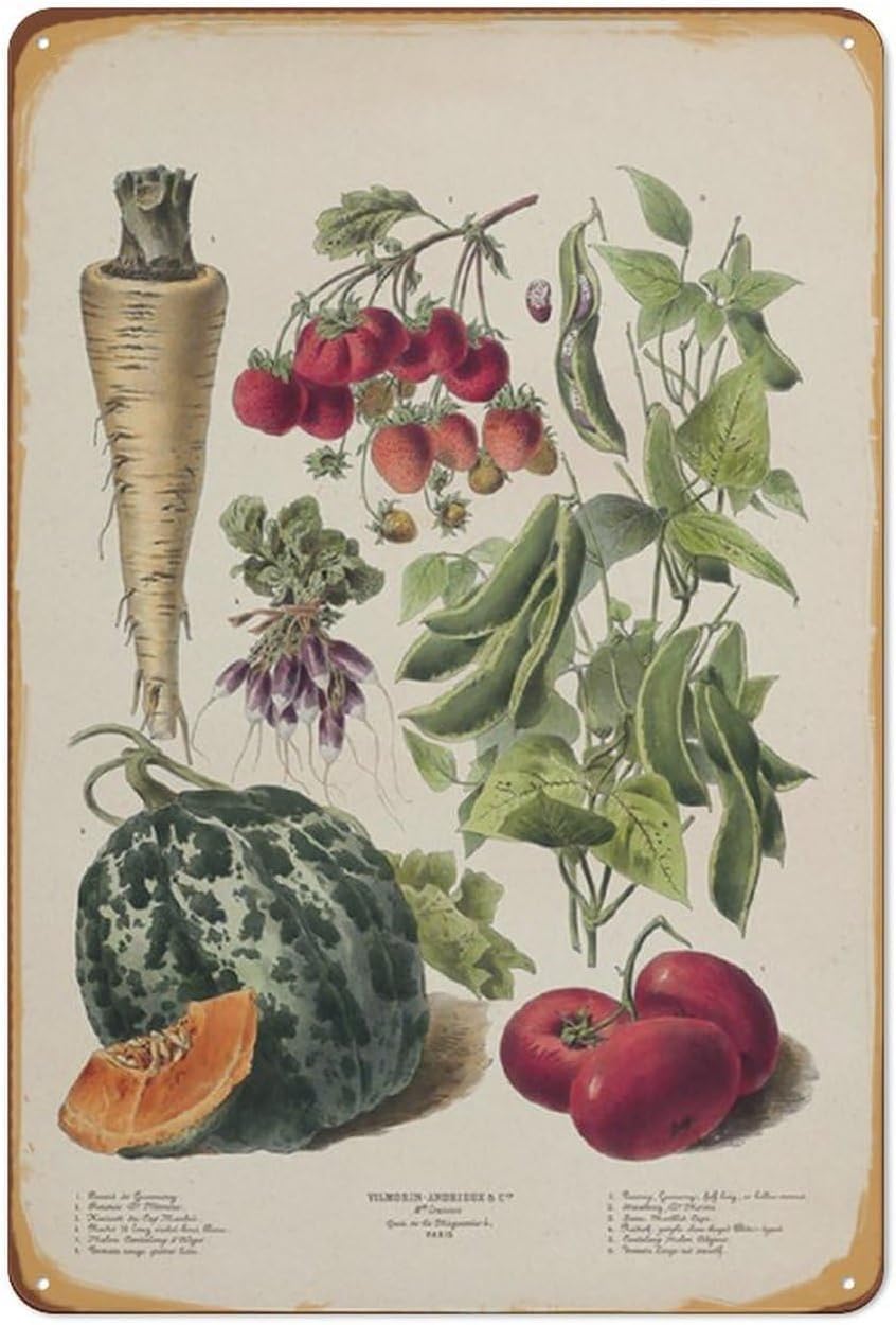 12×8 inch Vegetables Sign,Botanical Illustration,Vintage Vegetable ...