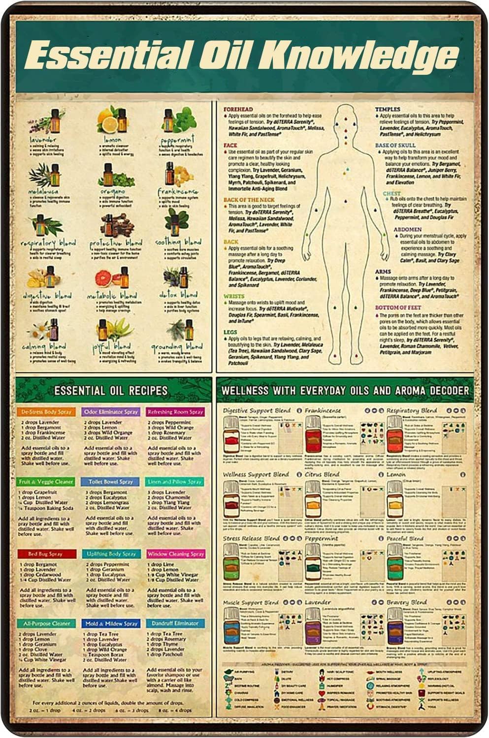 12×8 inch Vintage Knowledge Poster,Essential Oil Knowledge,For Men ...