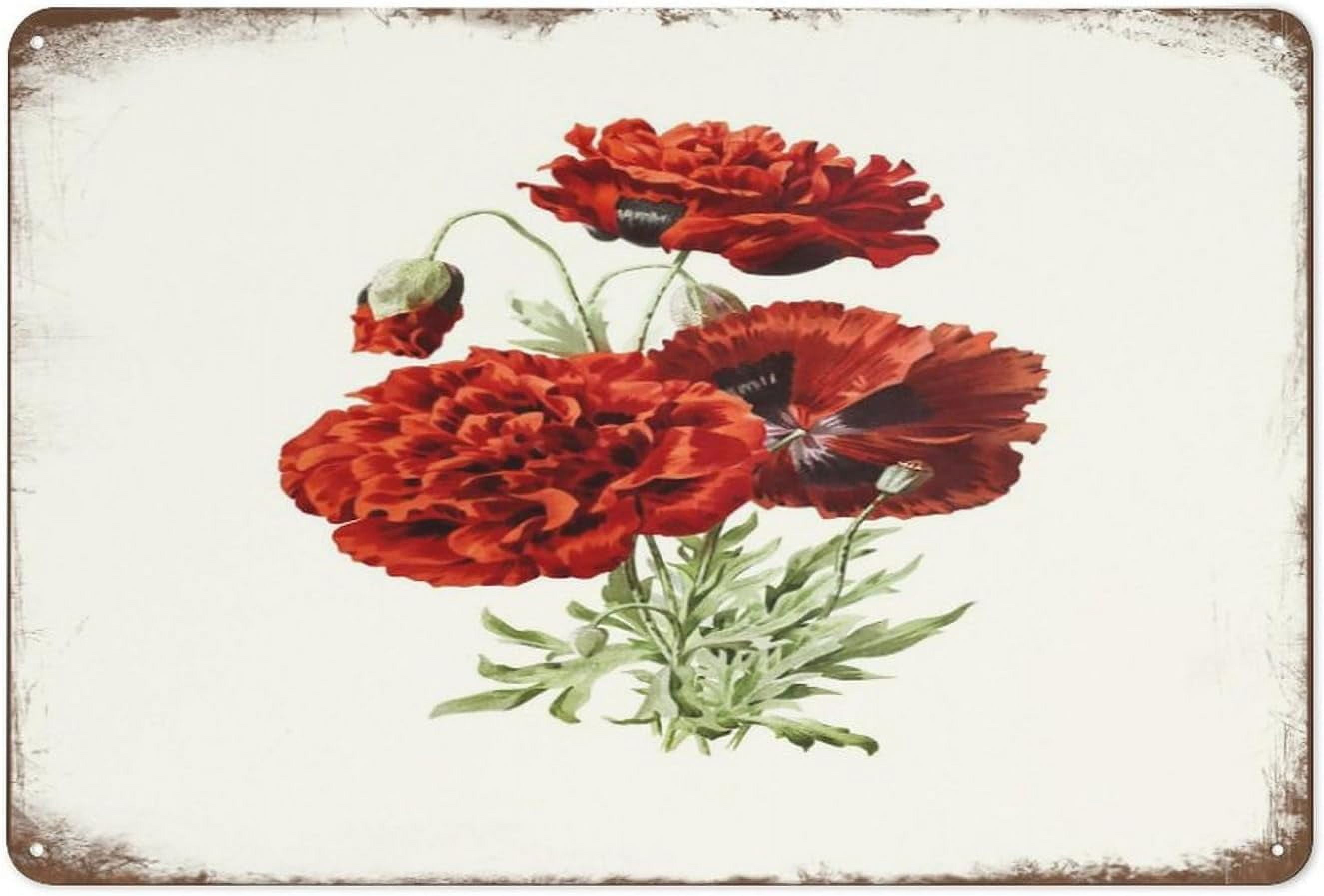 12×8 inch Vintage Poppy Print Botanical Illustration Grandmillennial ...