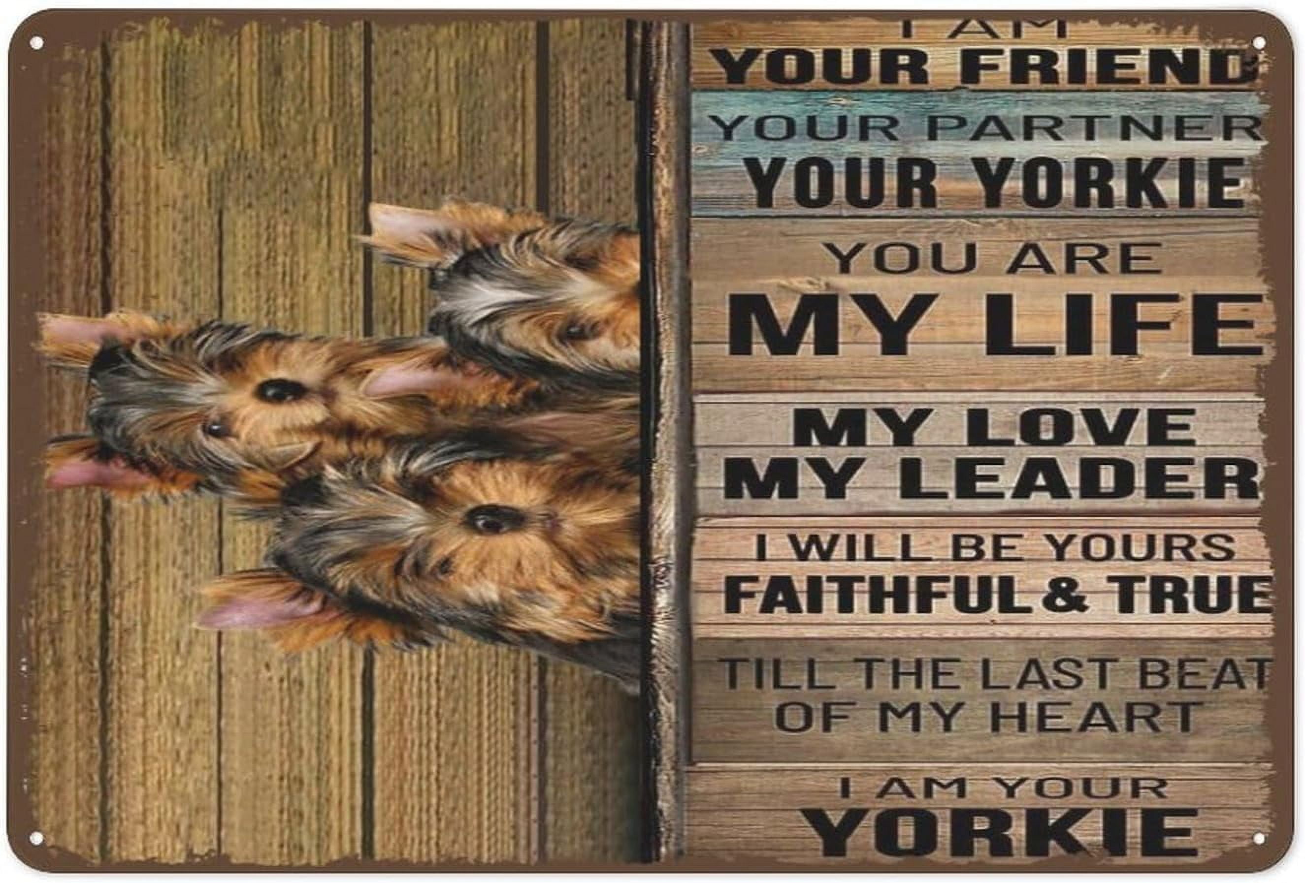 12×8 inch Yorkshire Tierrier Dog I Am Your Friend Your Partner Your ...