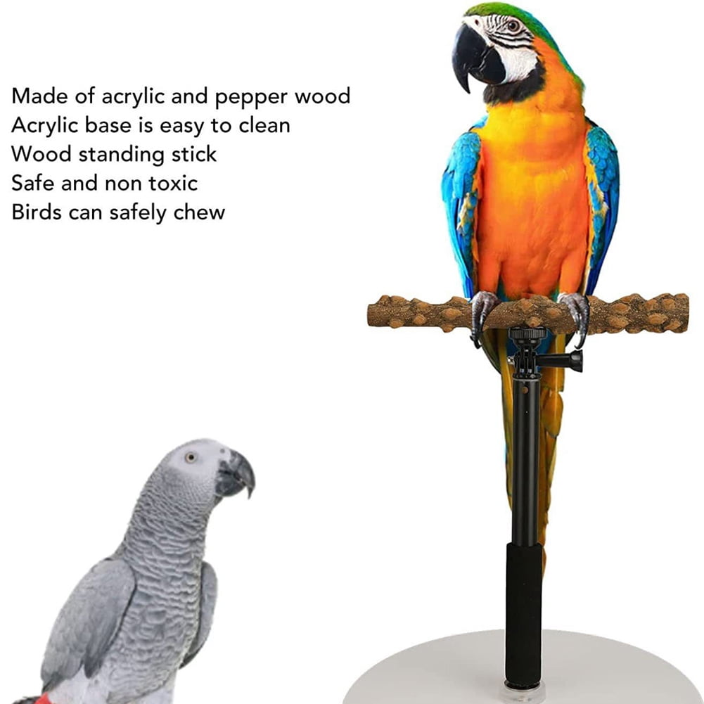 12.9-36.2in Height Adjustable Bird Perch Stand, Parrot Stand ...