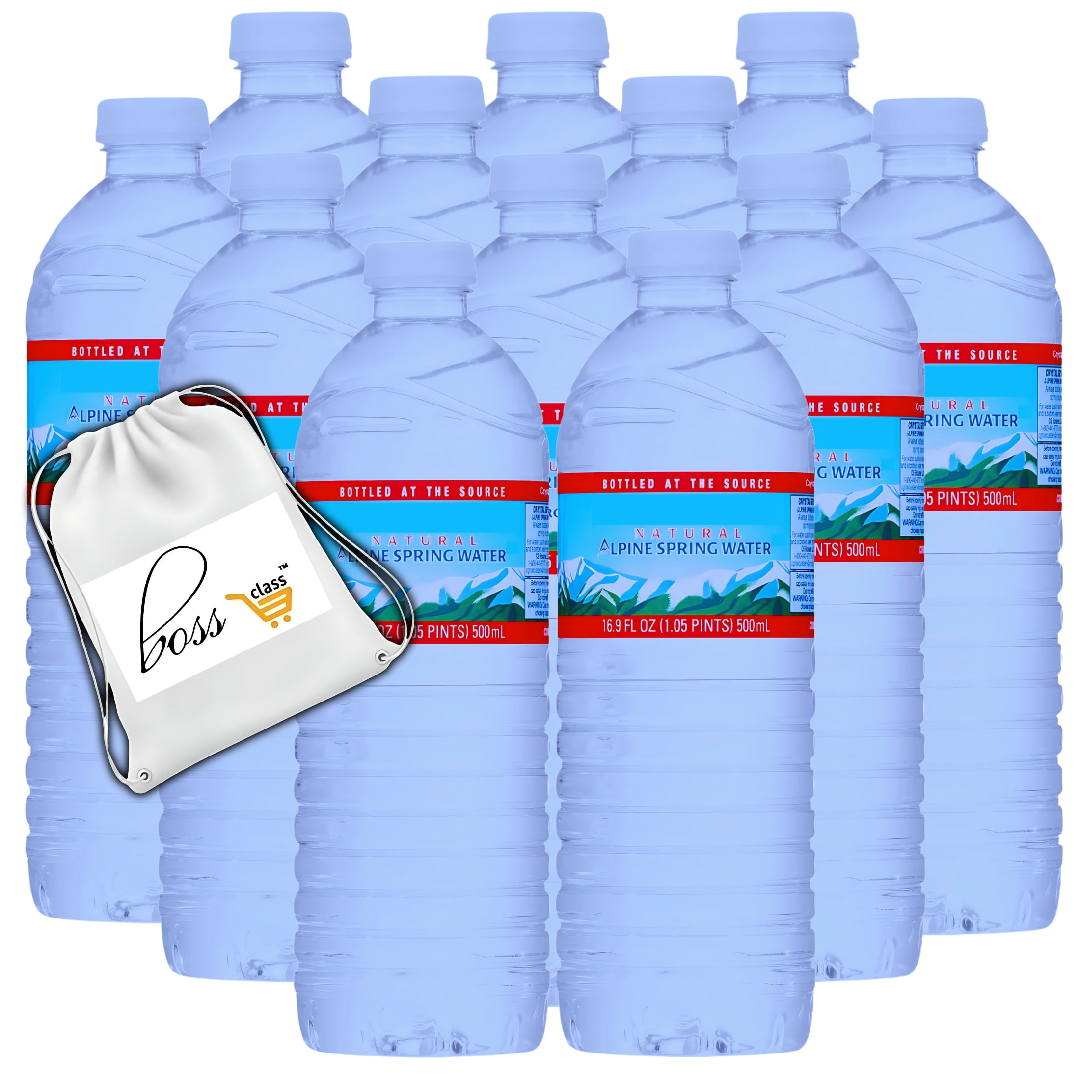 (12) Alpine Spring Water, 16.9 fl oz Bottles Refreshing Natural ...
