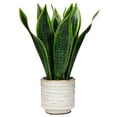 12" Artificial Snake Plant with Ceramic Pot Tropical Fake Snake Plant ...