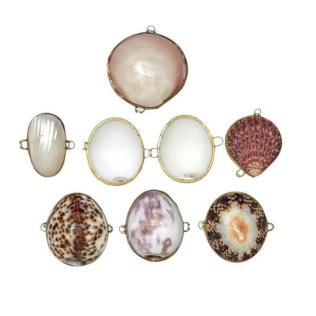 12 Assorted Shell Purses with Clasps (Set of 12) - Walmart.com