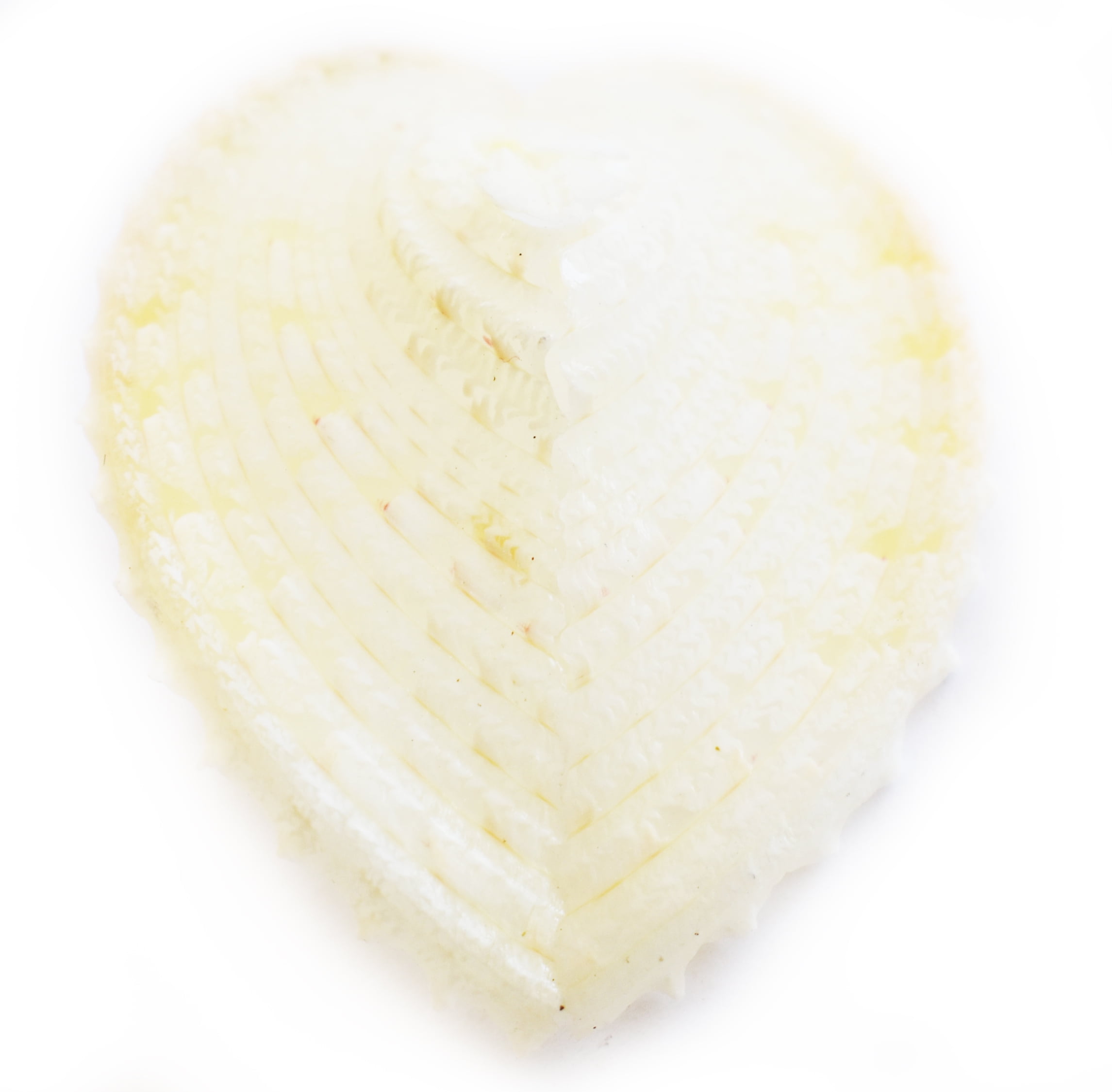 12 Beautiful Large White True Heart Cockle Shells (about 2") Beach ...