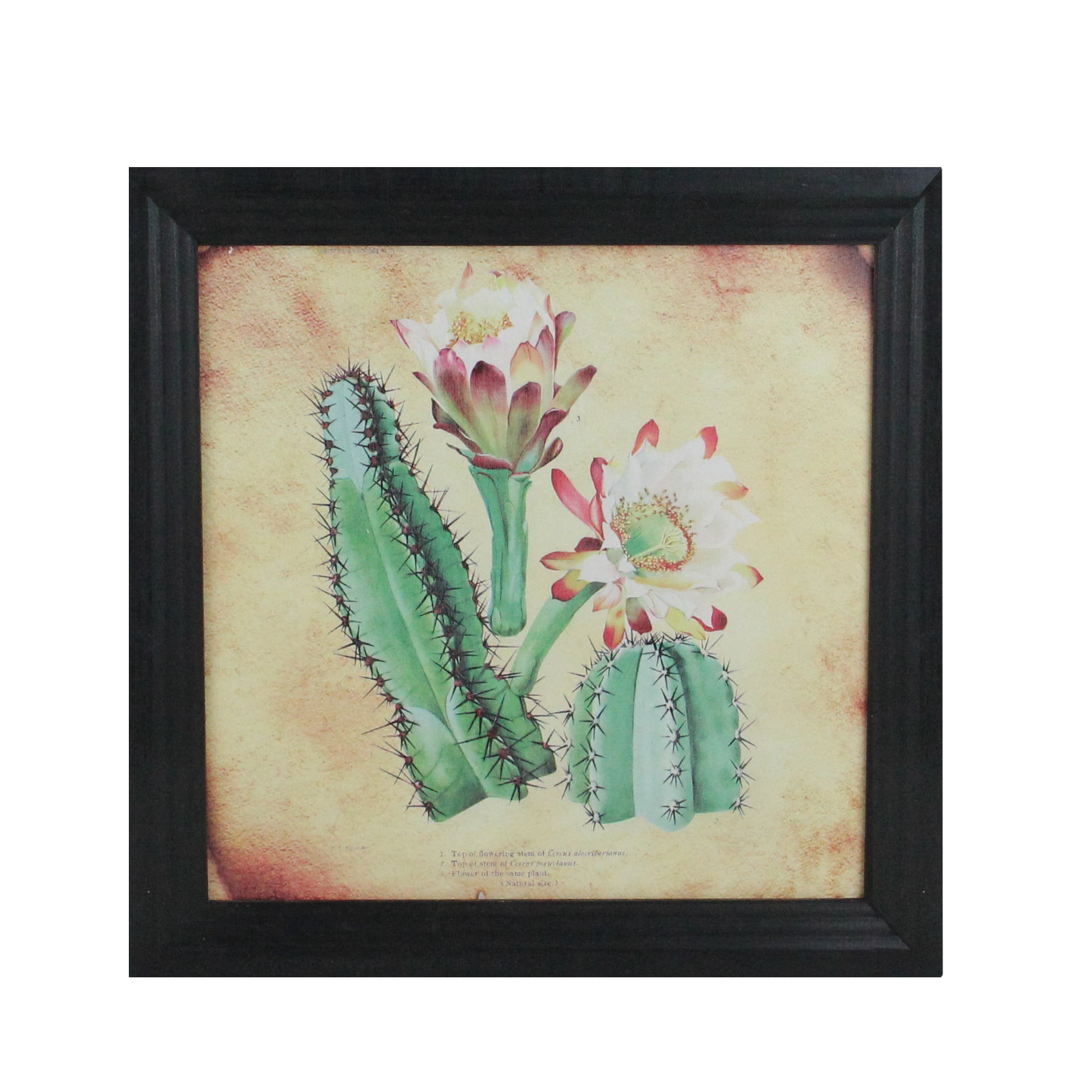Northlight Cactus and Desert Florals Framed Wall Art - 12" - Walmart.com