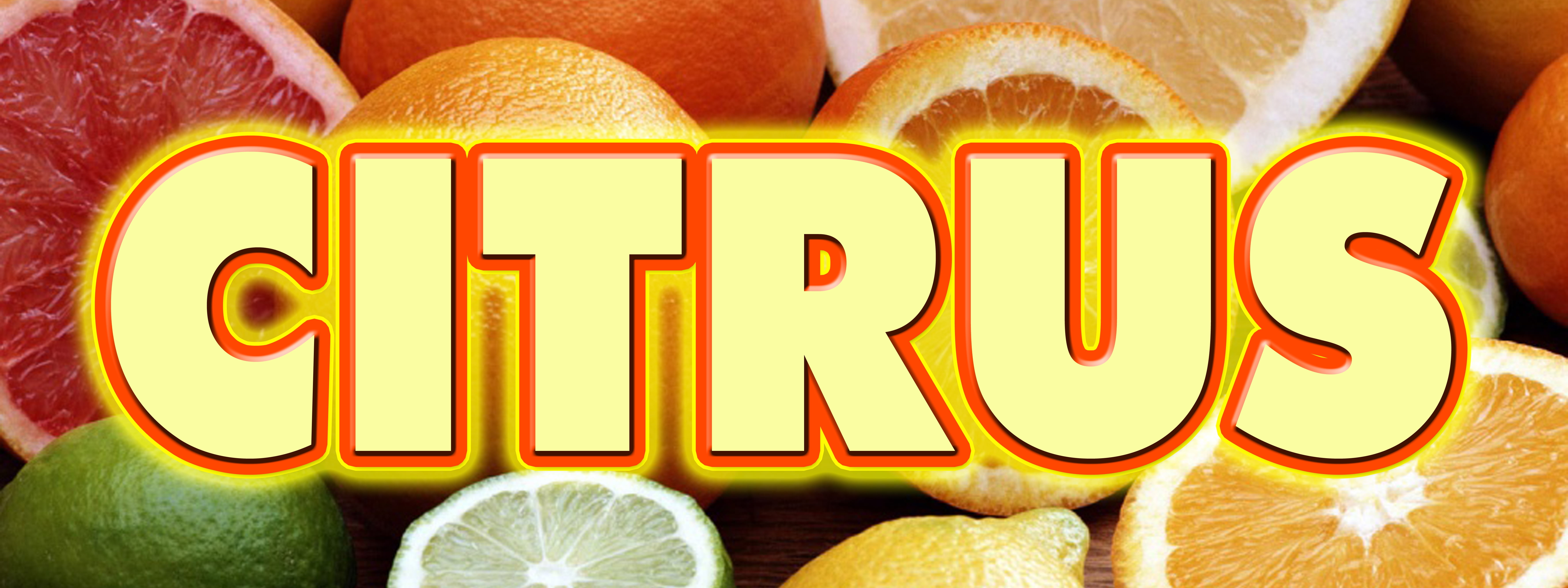 12" CITRUS DECAL sticker florida orange grapefruit lemon - Walmart.com