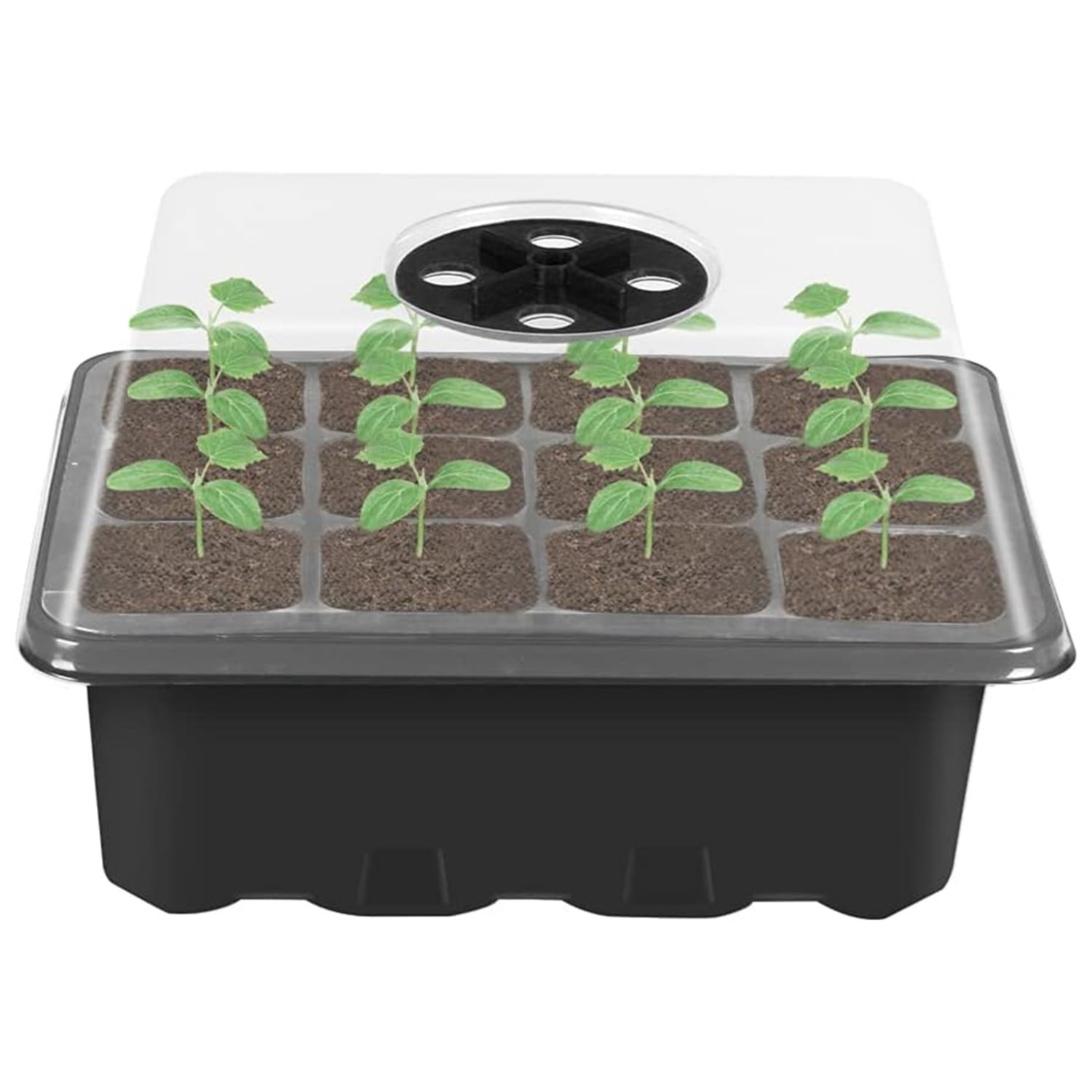 12 Cells Seedling Starter Trays,Seed Starter Tray with Humidity Dome ...