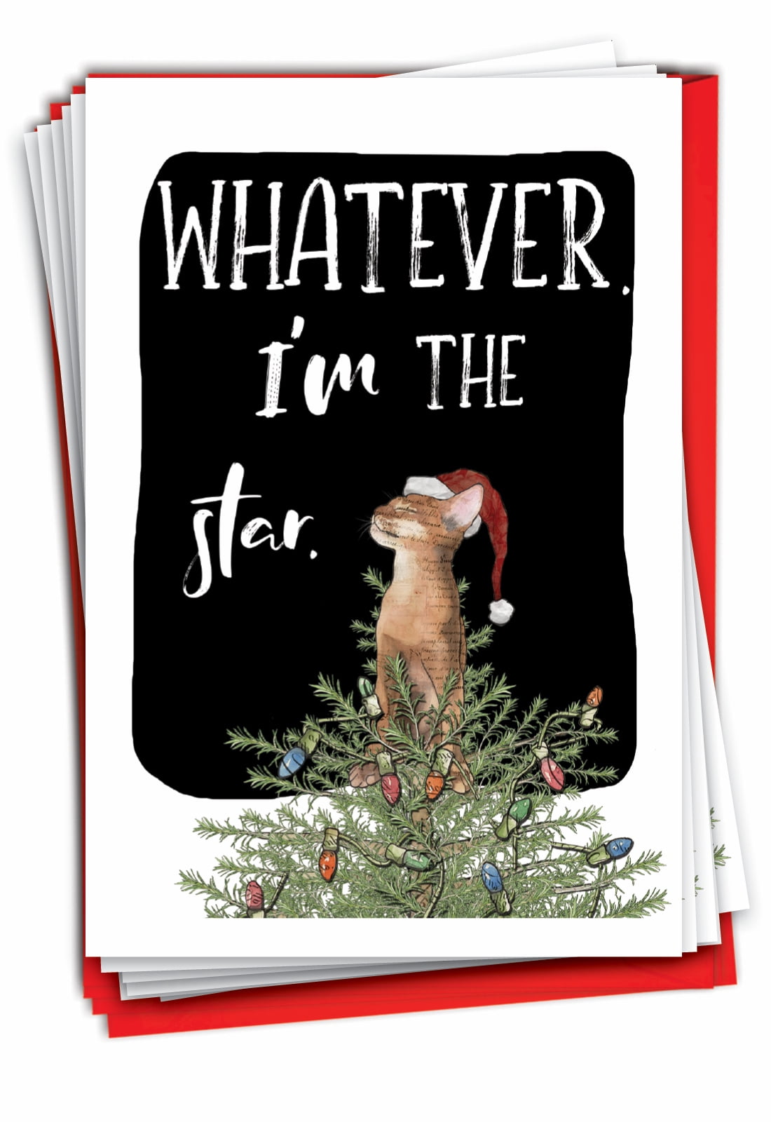 12 Christmas Greeting Cards (1 Design, 12 Cards) - Cat Star C3465XSG ...