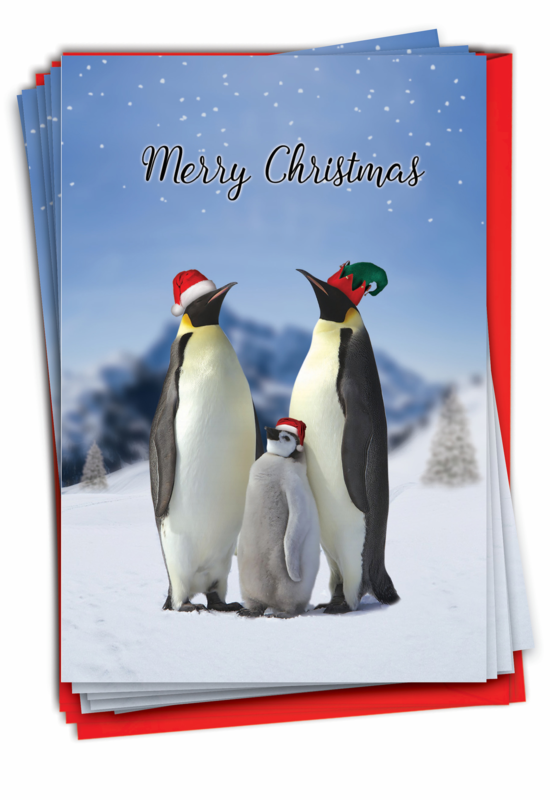 12 Christmas Greeting Cards (1 Design, 12 Cards) - Penguins and ...