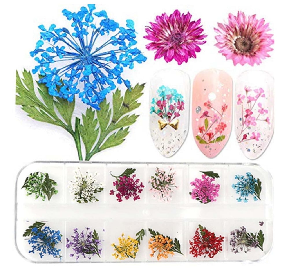 12-Color Real Dried Flower Nail Art Set – 3D DIY Manicure Decorations ...