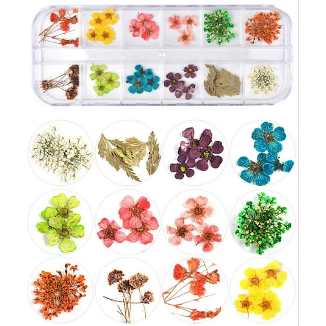 12-Color Real Dried Flower Nail Art Set – 3D DIY Manicure Decorations ...