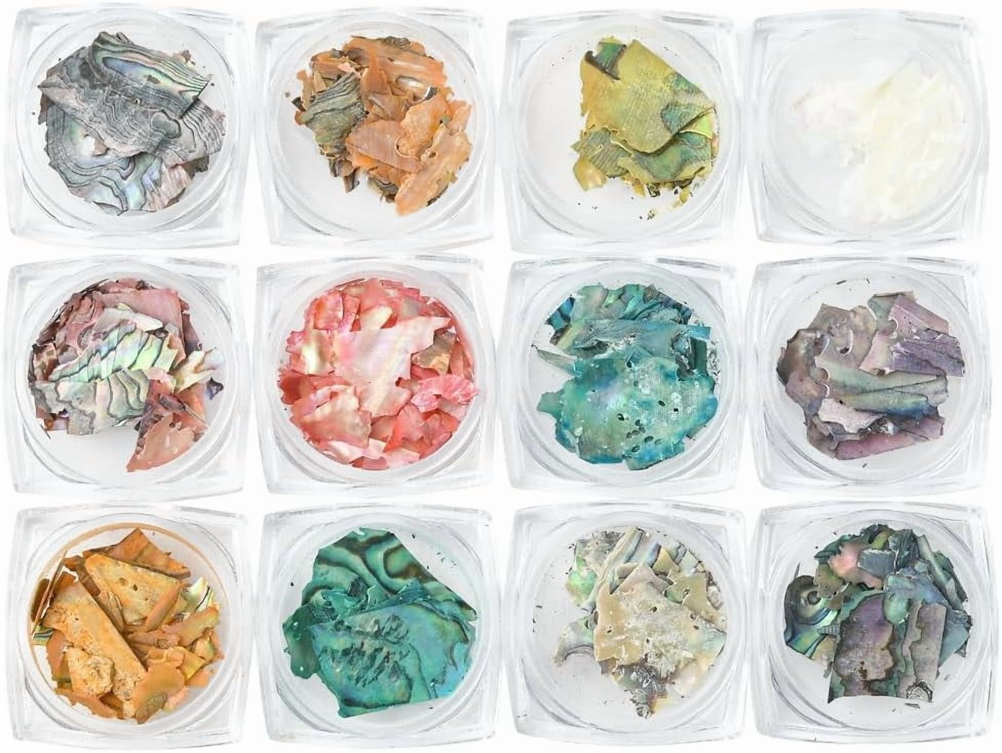 12 Colors Abalone Seashell Nail Art Sea Shell Nail Charms Aurora Irregular Colorful Natural ...