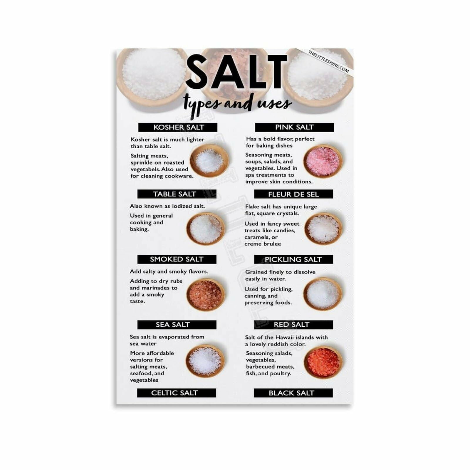12 Different Types Of Salt Poster Kitchen Knowledge Canvas Painting ...