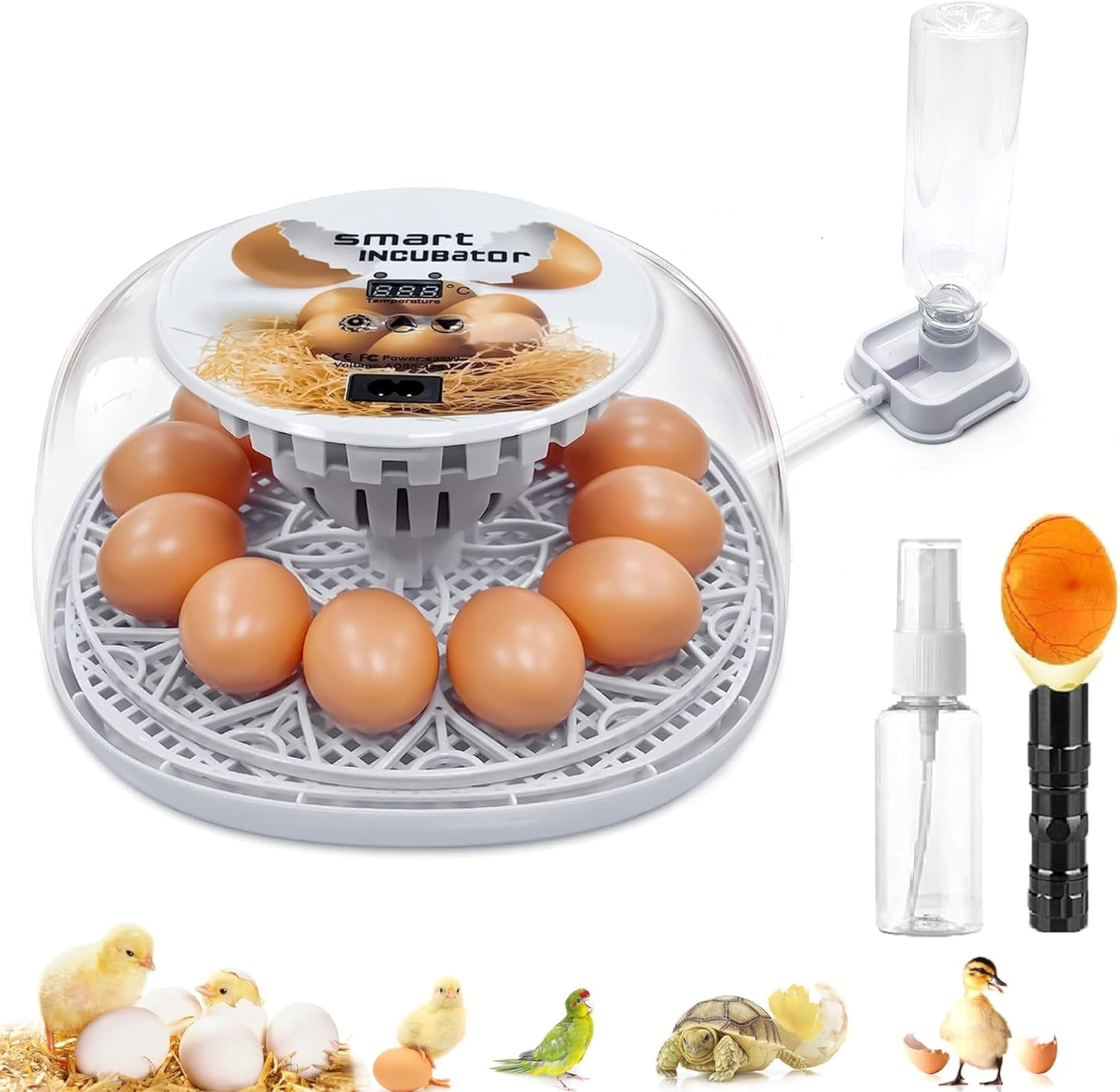 12 Egg Incubator with Humidity Indicator Automatic Egg Turning and ...
