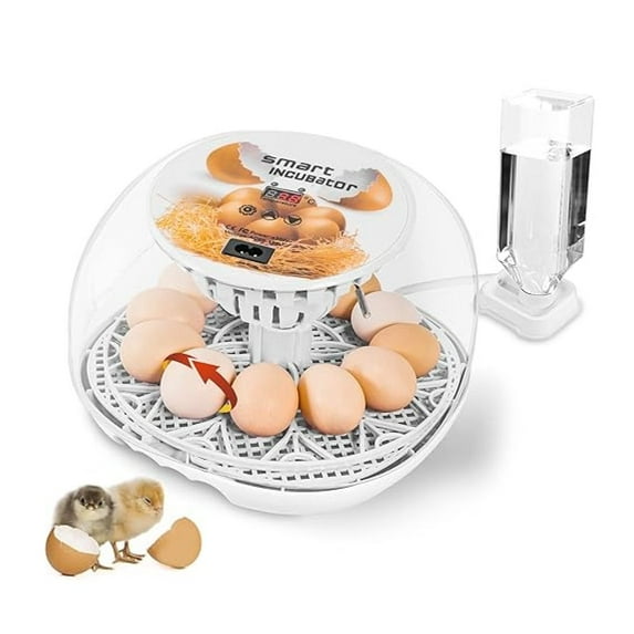 12 Egg Incubator, Incubators for Hatching Eggs with Automatic Egg ...