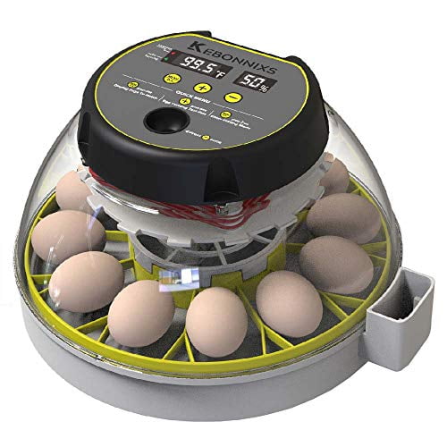12 Egg Incubator with Humidity Display, Egg Candler, Automatic Egg ...