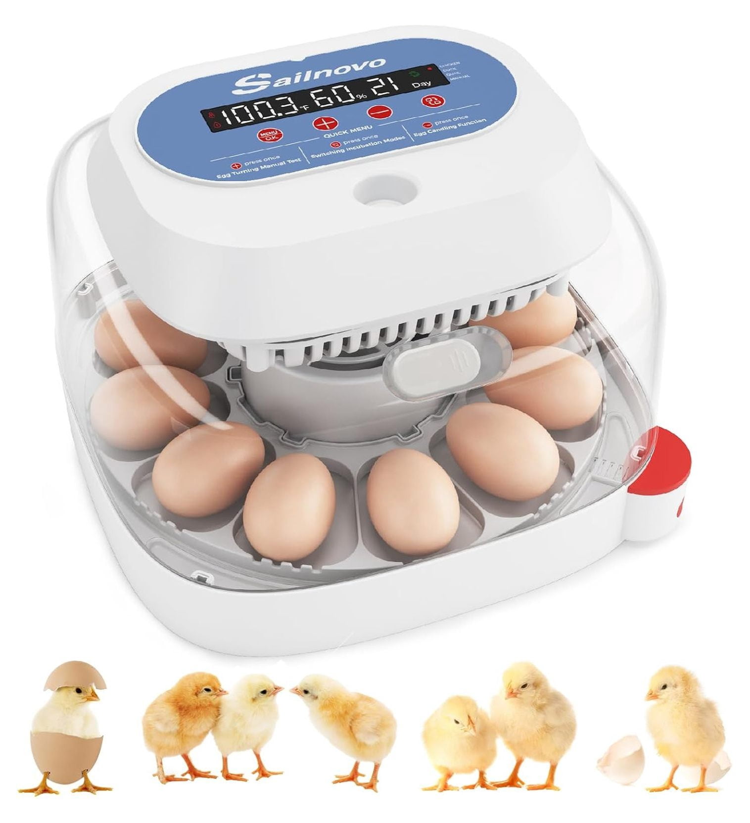 12 Egg Incubators for Hatching Eggs with 4 Modes, 360° View Incubator ...