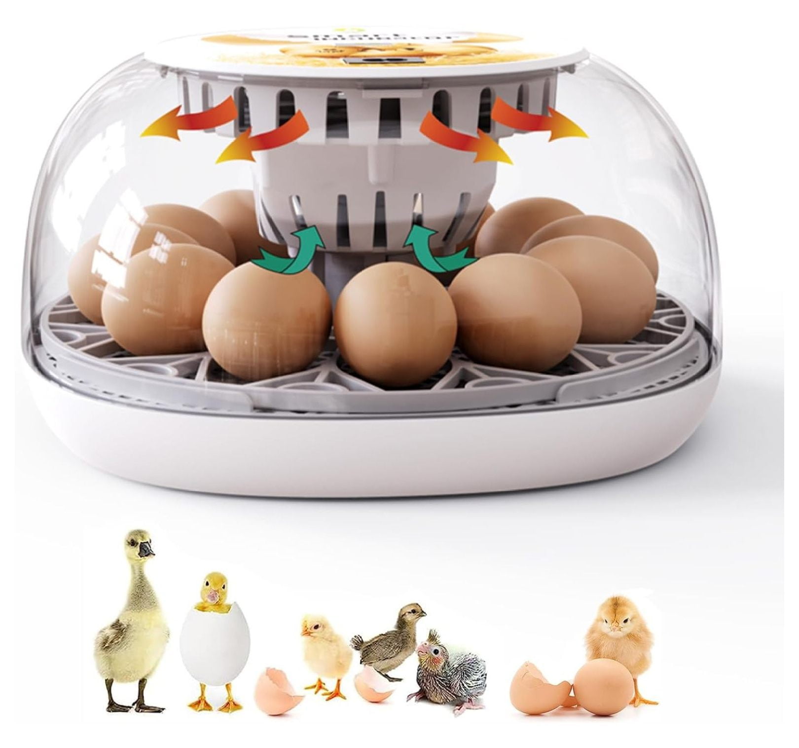 12 Egg Incubators for Hatching Eggs, Digital Incubator with Automatic ...