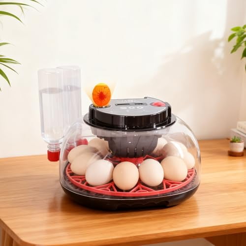 12 Eggs Incubator with Humidity Display and Candler, Automatic Egg ...