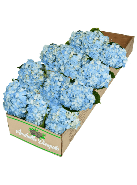 All Flowers in Flower Shop - Walmart.com