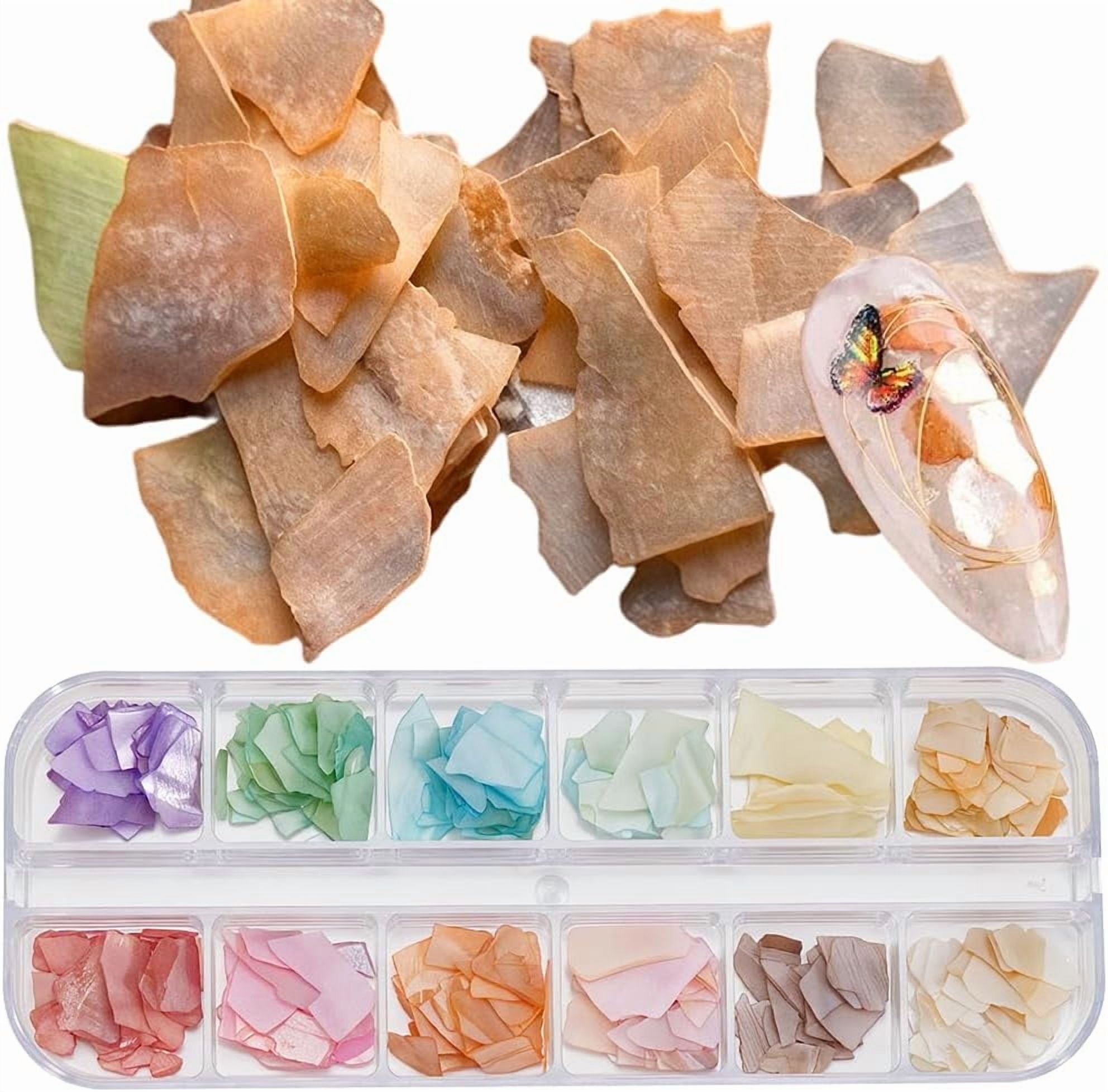 12 Grids Abalone Shell Pieces Summer Seashell Nail Art Colorful Shiny ...