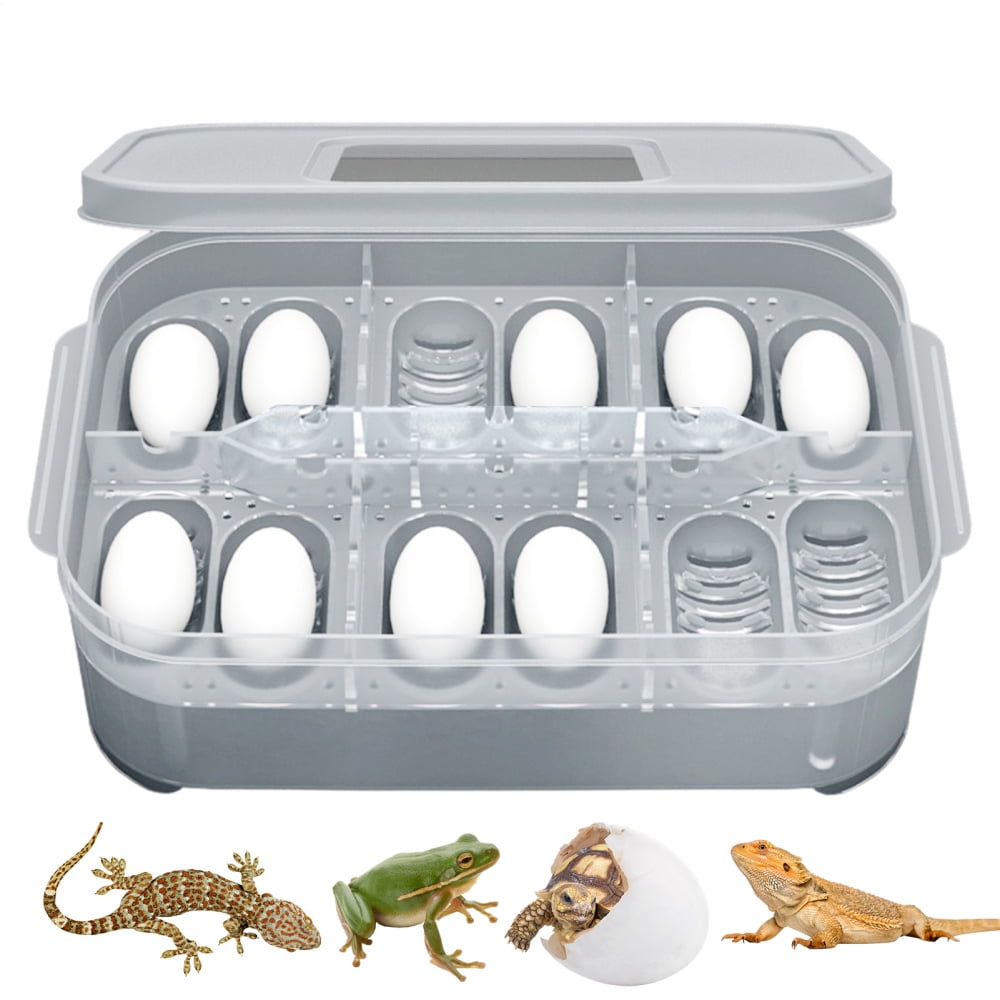 12 Grids Hatch Box Snake Lizard Reptile Egg Tray Boxes Hatching Eggs ...