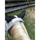 12 Horsefly Patches/Sticky Horse Fly Traps - Walmart.com