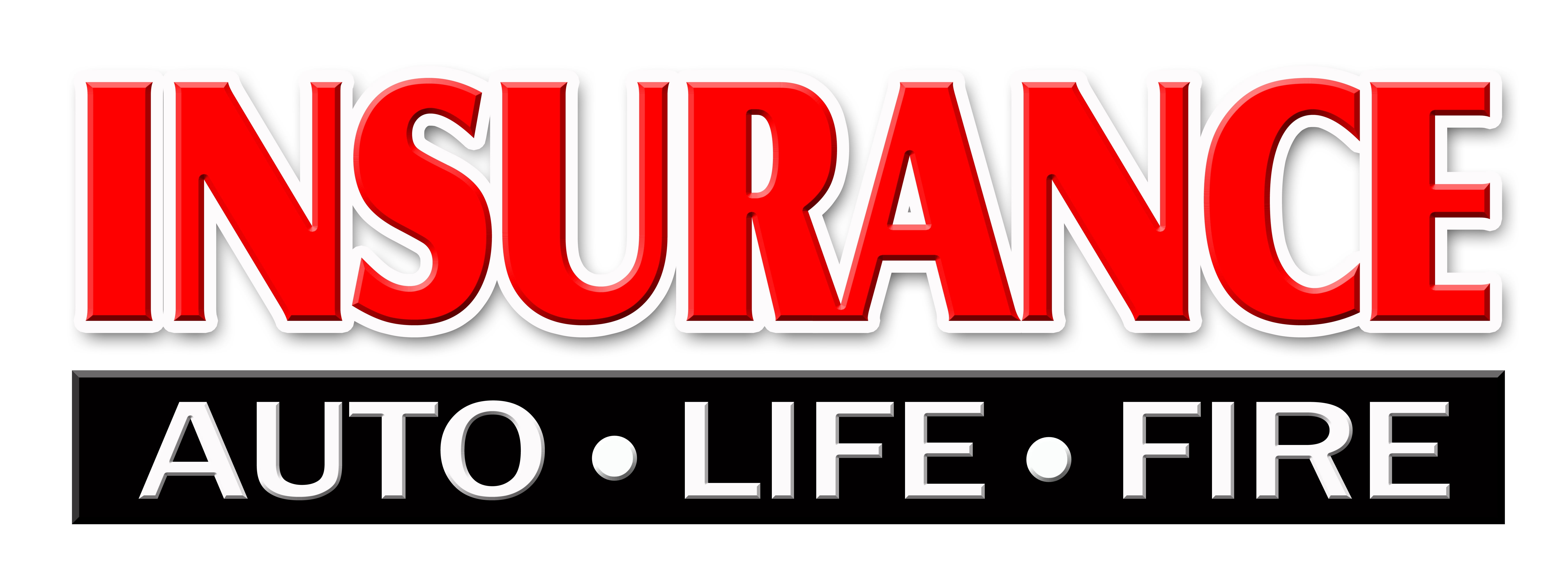 12" INSURANCE AUTO LIFE FIRE DECAL sticker home auto vehicle house fire ...