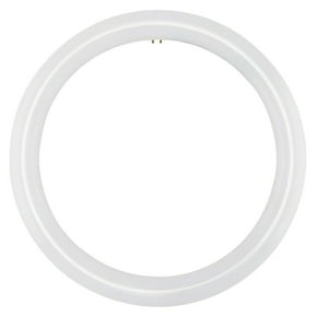 Circular Light Bulbs