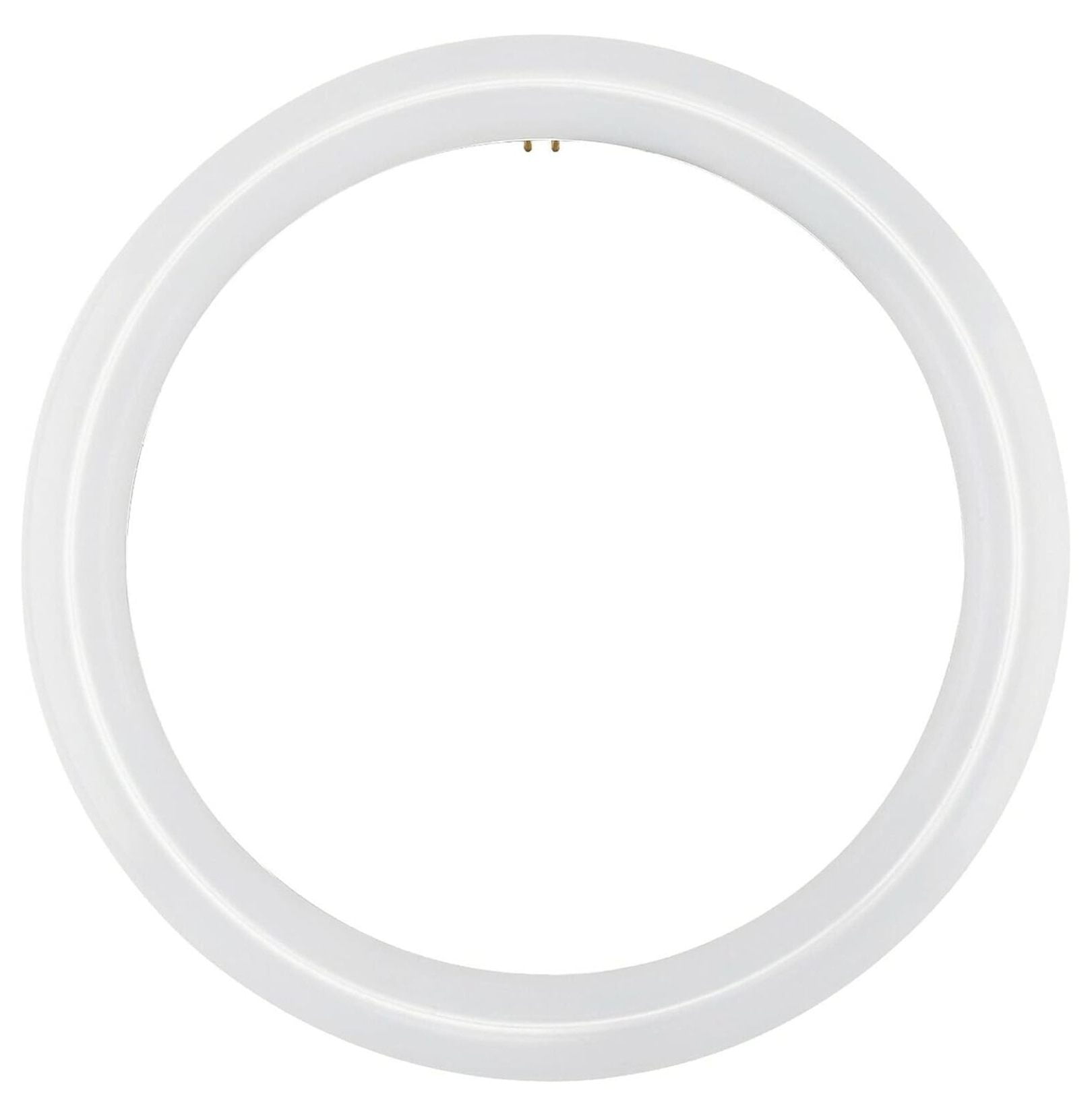 12 Inch/ 12" Plug & Play T9 Circline LED Lamp - Cool White (4200K ...