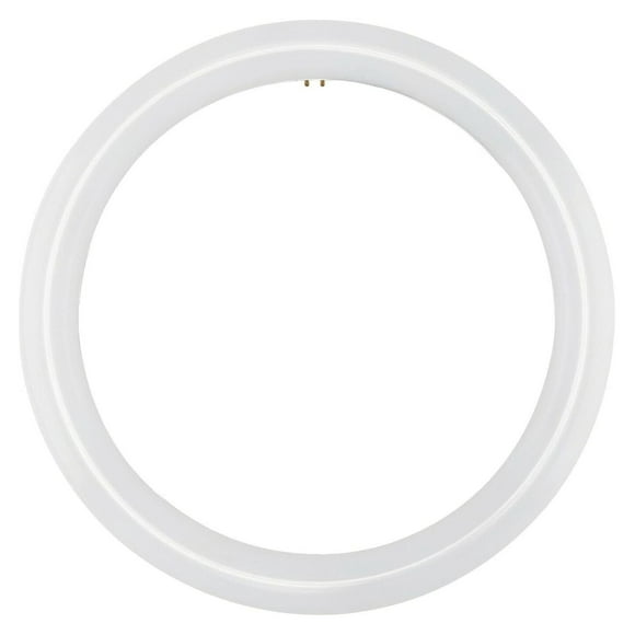 Circular Light Bulbs